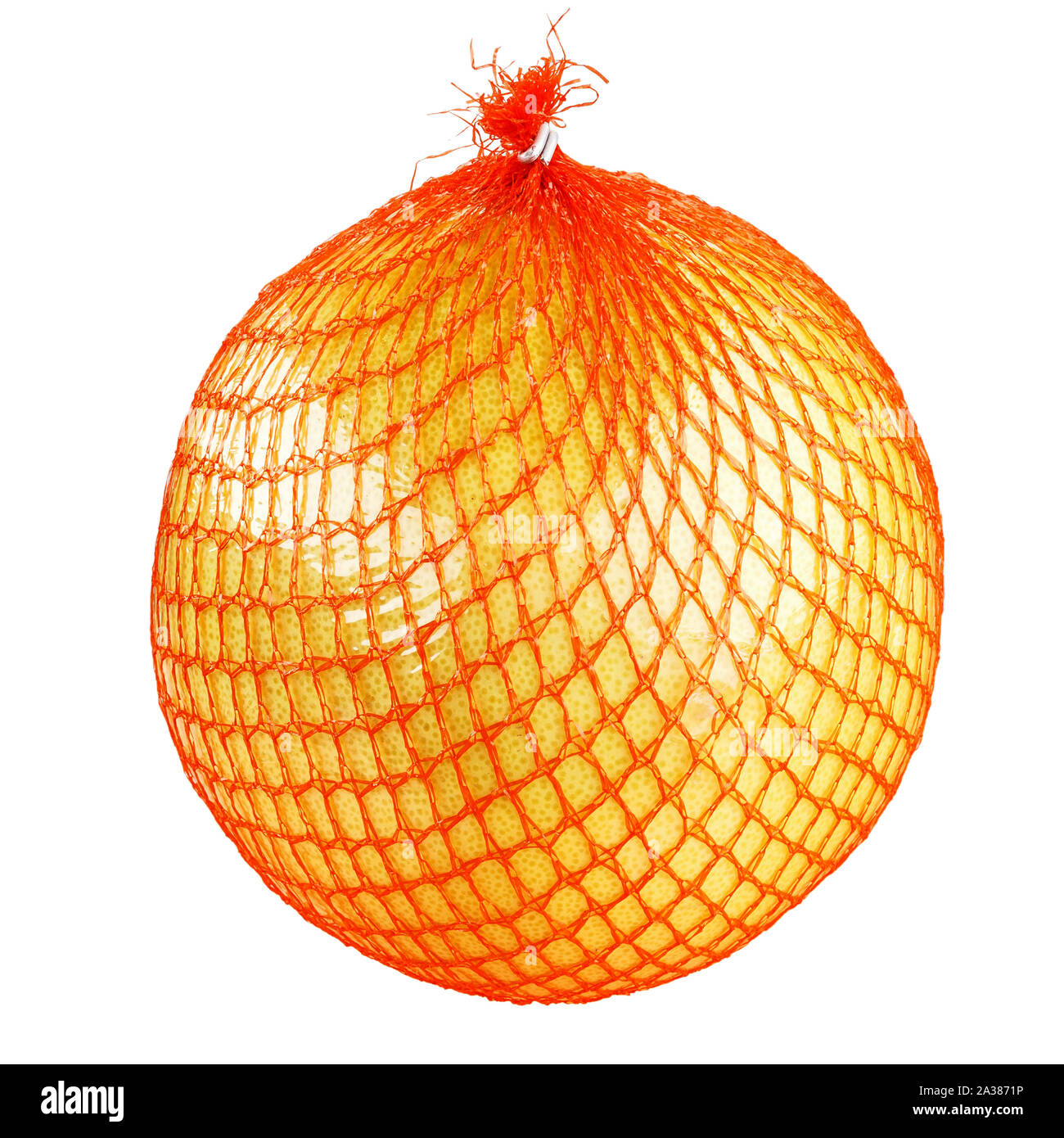 Pamela Fruit Isolated. citrus fruit in the grid. file contains clipping ...