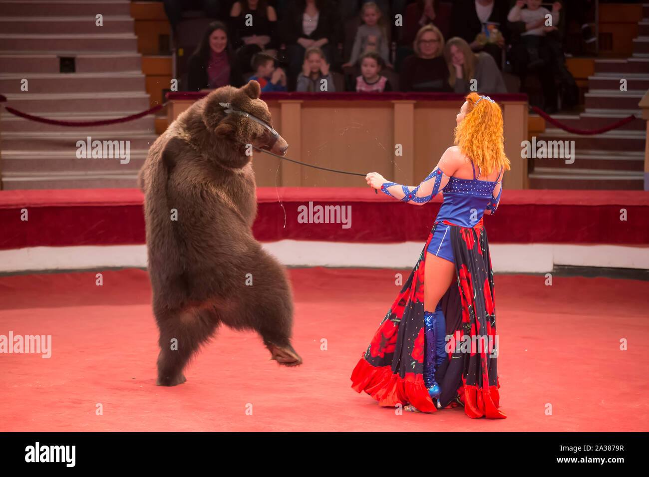 Bear animal tamer hi-res stock photography and images - Alamy