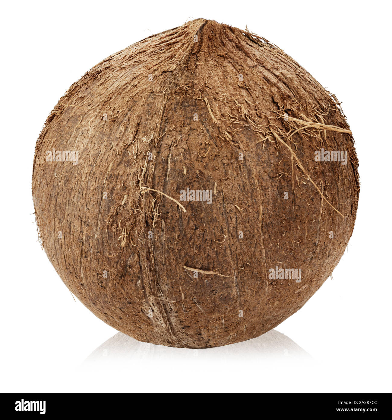 one whole coconut isolated on a white background. file contains ...