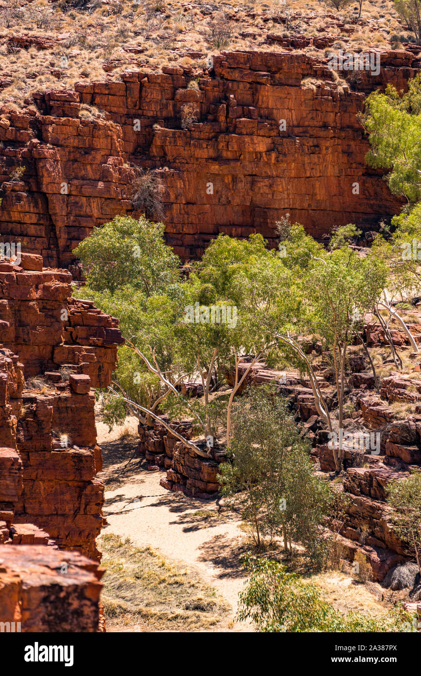 The remote Trephina Gorge, in the East MacDonnell Ranges, in the ...