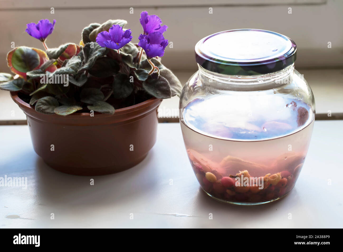 Compote jar on the windowsill and a pot of violets Stock Photo - Alamy
