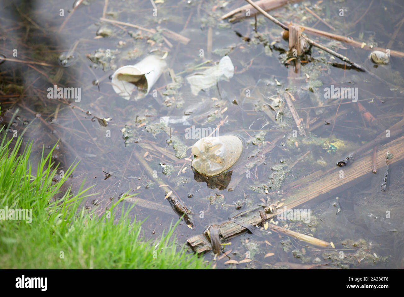 Plastic bottles in the pond. Environmental pollution Stock Photo - Alamy