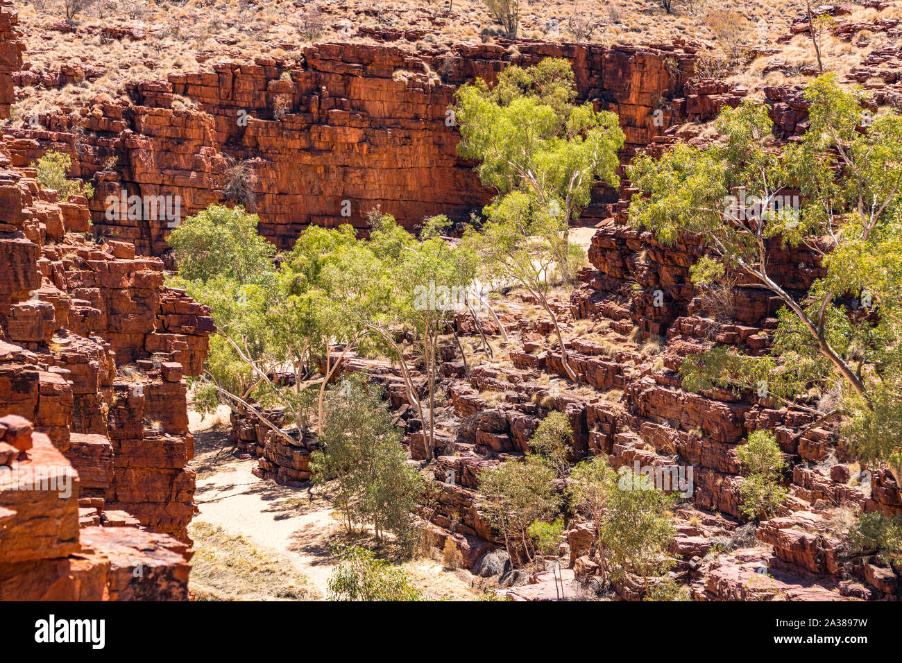 The remote Trephina Gorge, in the East MacDonnell Ranges, in the ...