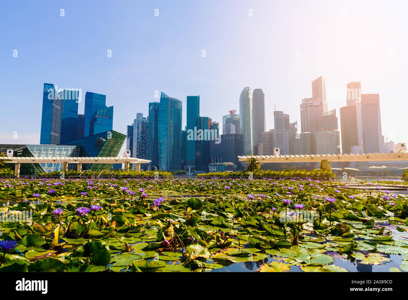 Modern dusk and high rise building landscape hi-res stock photography ...
