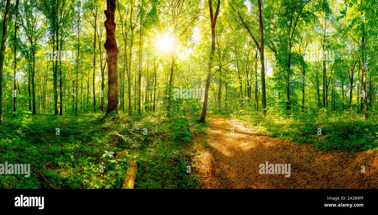 Scheinen hi-res stock photography and images - Alamy