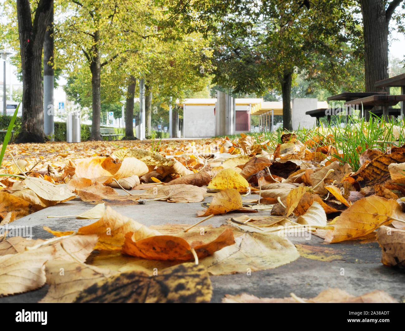 Laub hi-res stock photography and images - Alamy