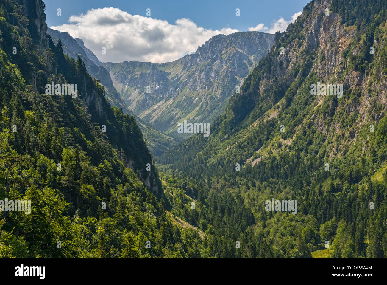 Picturesque summer mountain landscape of Tara Canyon in mountain ...