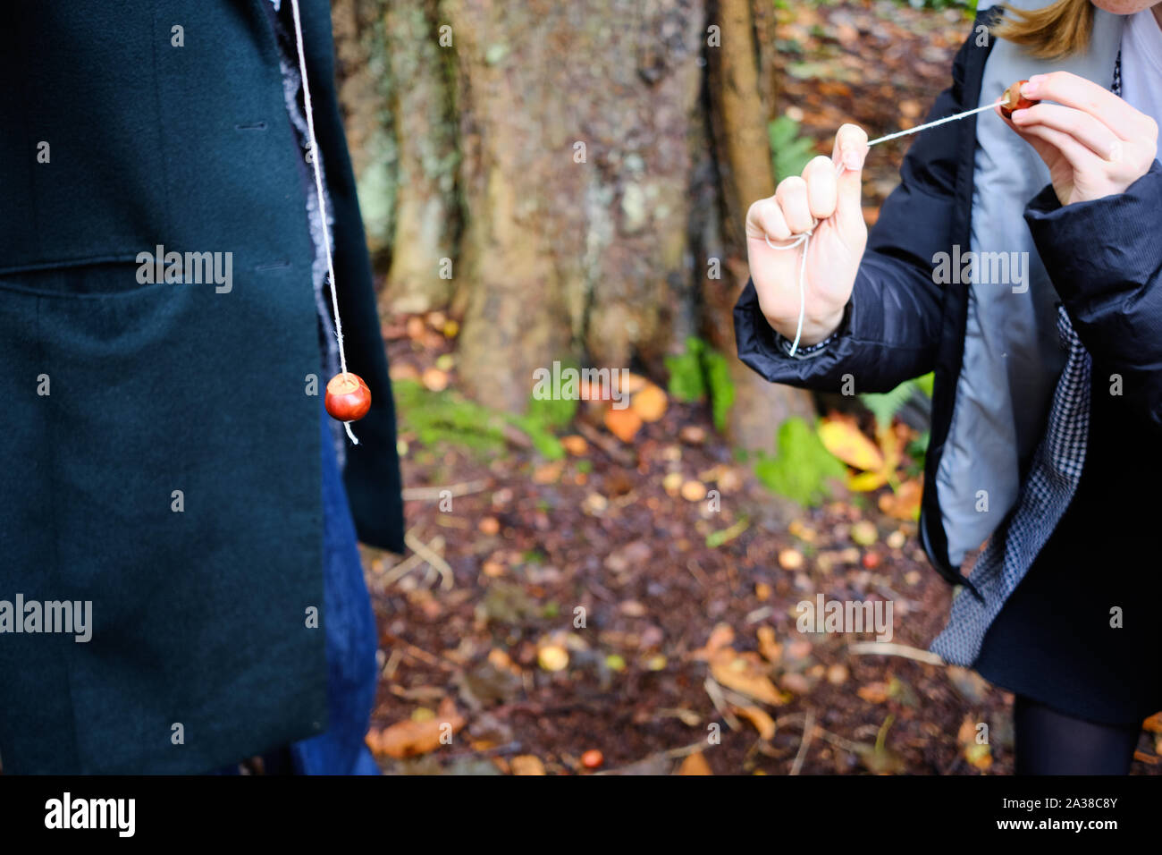 Conkers Game Stock Photos & Conkers Game Stock Images - Alamy