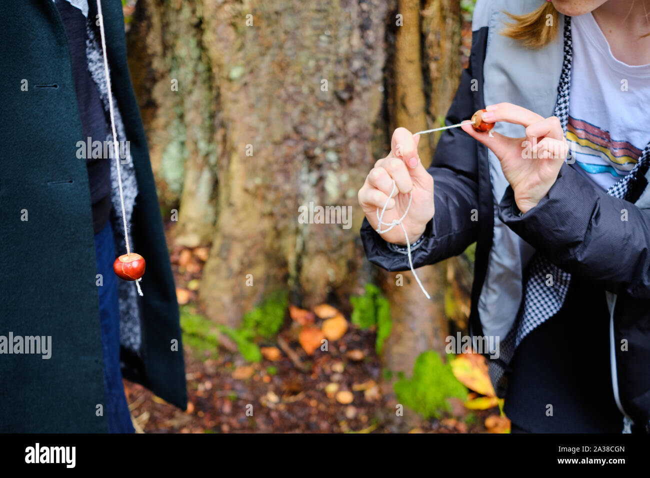 Traditional Game Of Conkers High Resolution Stock Photography and ...
