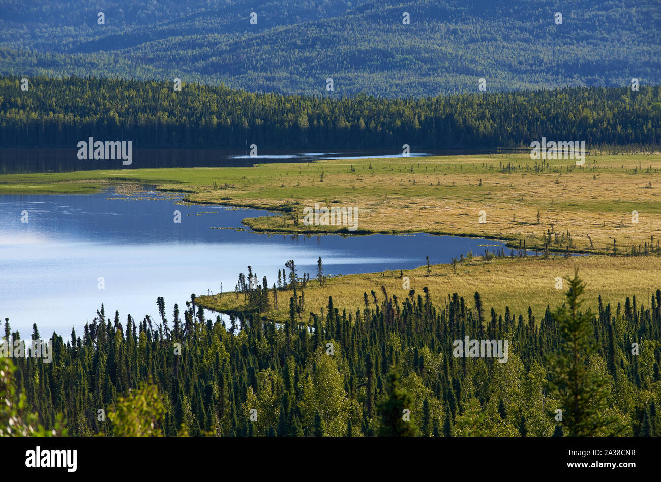 Forrests hi-res stock photography and images - Alamy