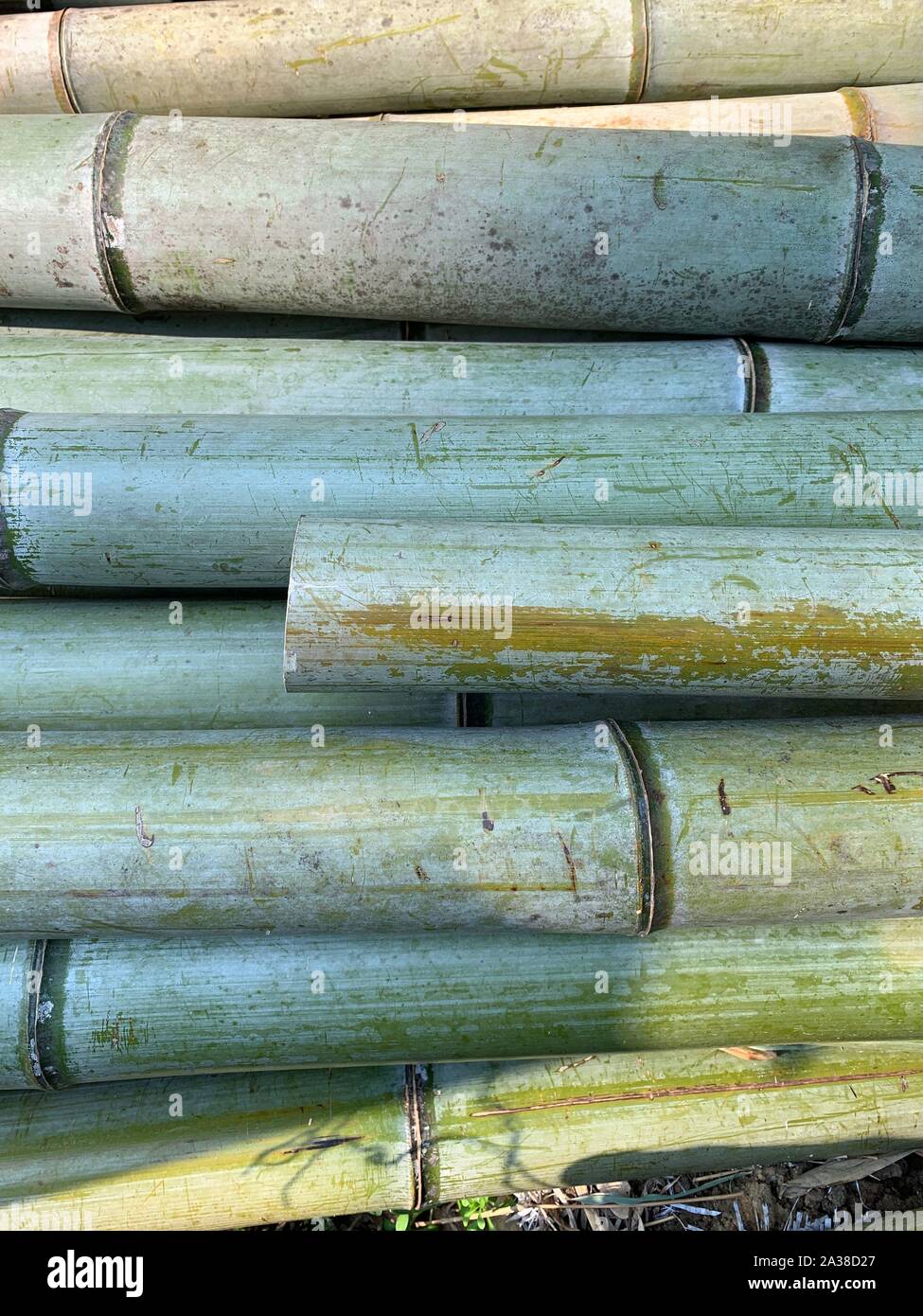 Bamboo japan hi-res stock photography and images - Alamy