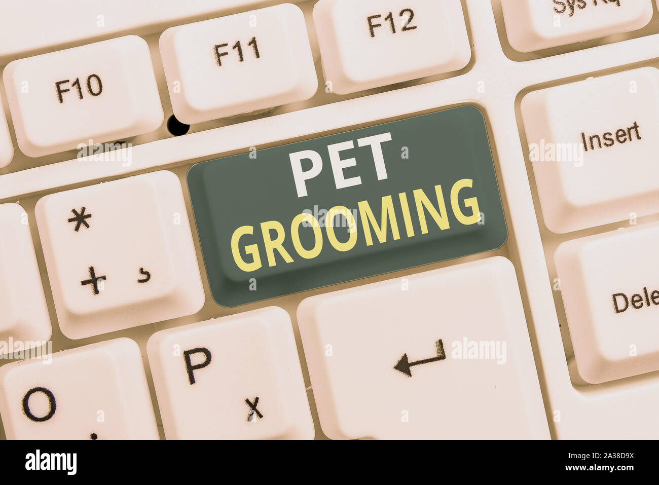 Conceptual hand writing showing Pet Grooming. Concept meaning hygienic ...