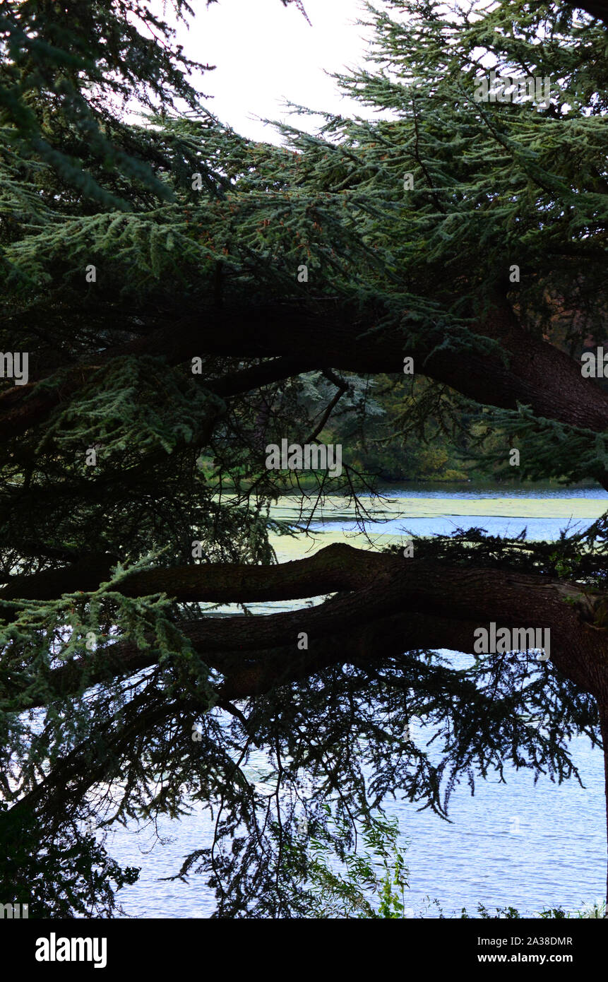 View of Queens Pool Lake Blenheim Palace, Oxfordshire, England through ...