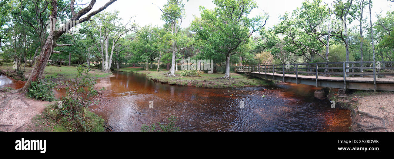 Puttles Bridge in the New Forest National Park, Autumn 2019 Stock Photo ...