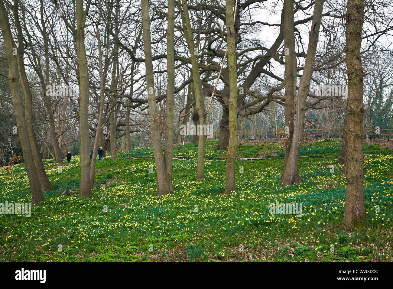 Warley place hi-res stock photography and images - Alamy
