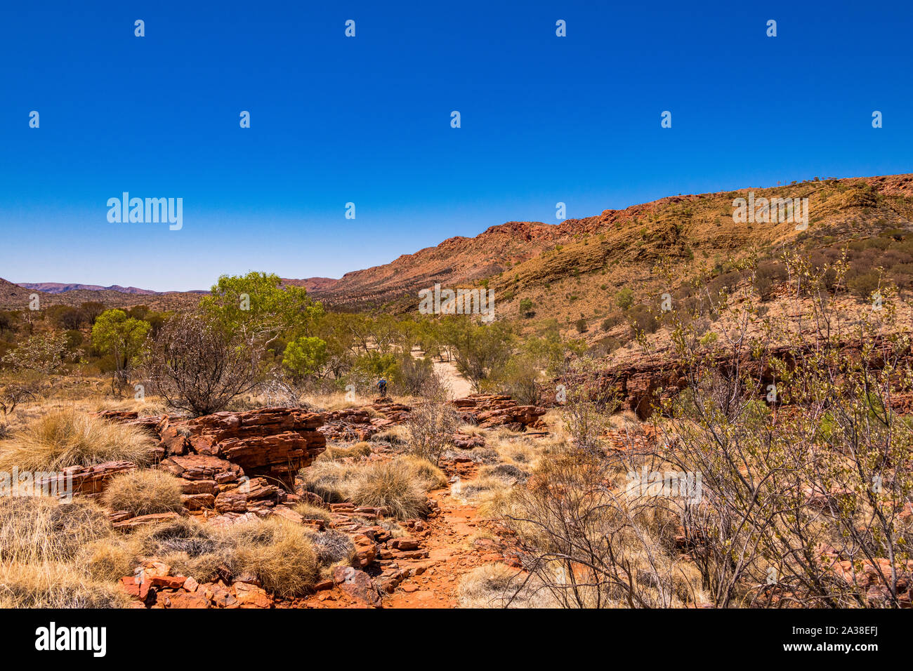 The remote Trephina Gorge, in the East MacDonnell Ranges, in the ...
