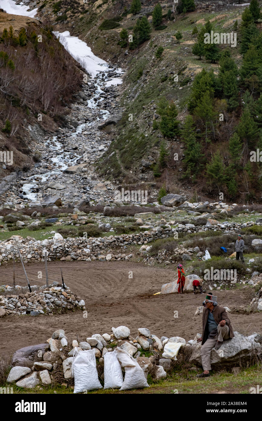 People cleaning ground for cultivation. In the background glacial ...