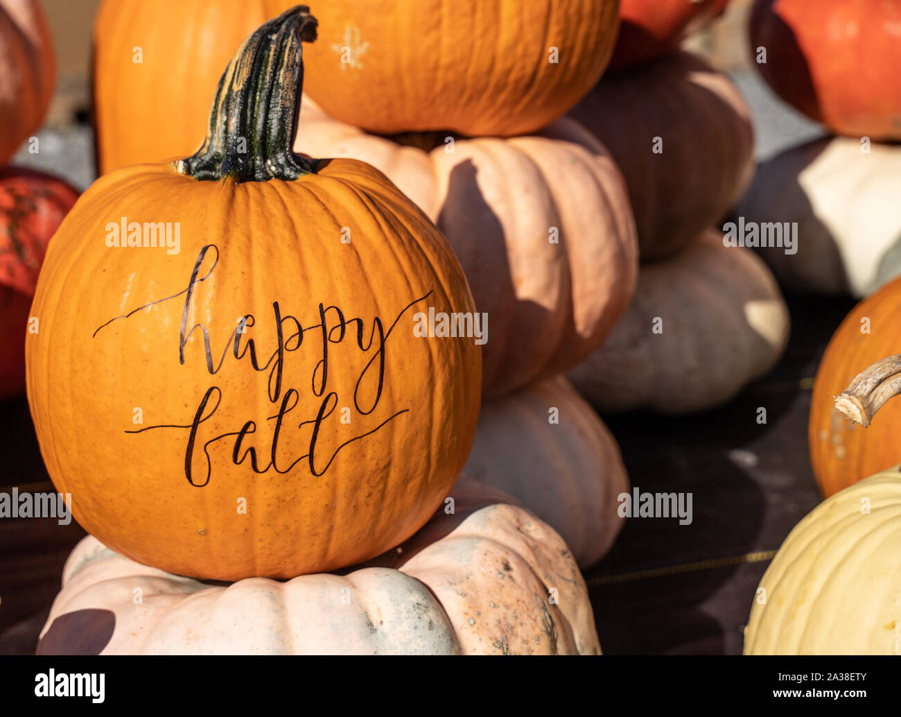 Fall festive hi-res stock photography and images - Alamy