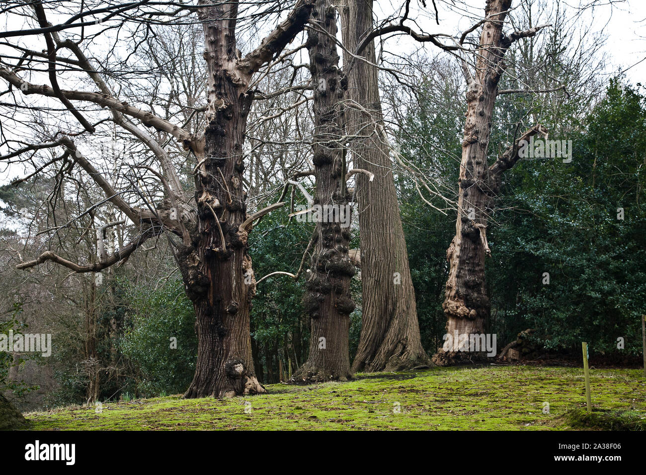 Warley place hi-res stock photography and images - Alamy