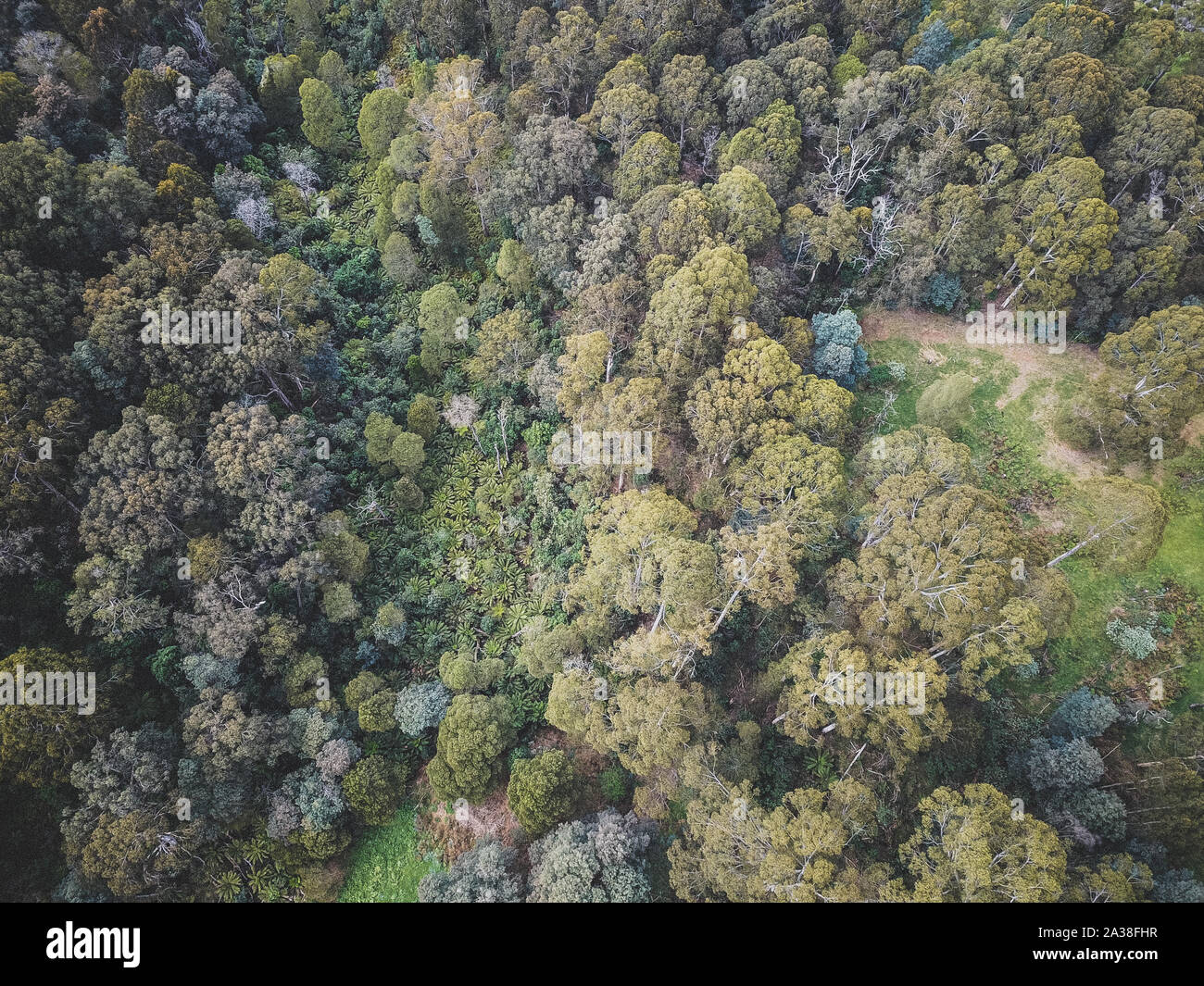 Dandenong ranges hi-res stock photography and images - Alamy