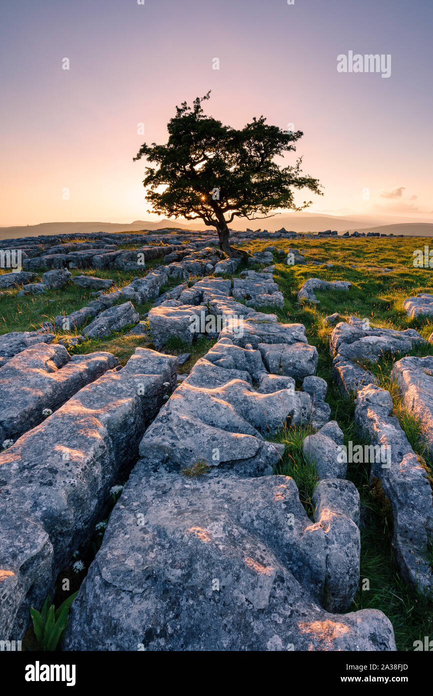 Clints and grikes hi-res stock photography and images - Alamy