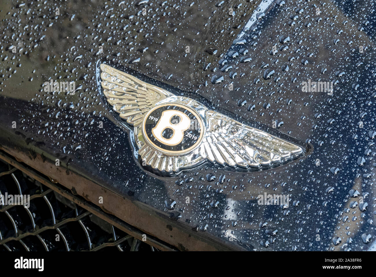 Bentley badge logo car hi-res stock photography and images - Alamy