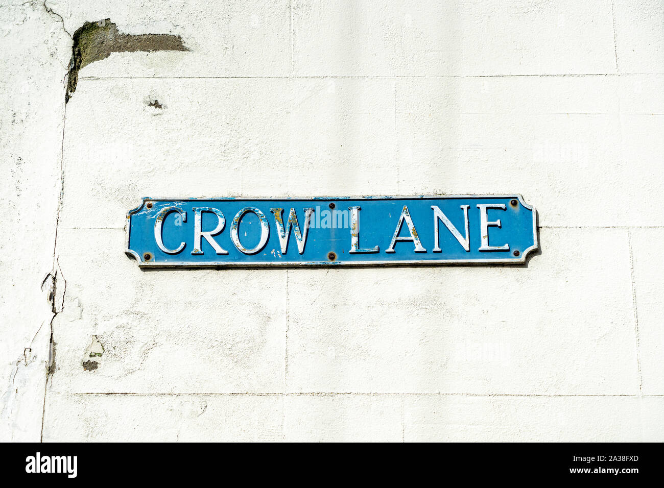 Blue and white crow hi-res stock photography and images - Alamy