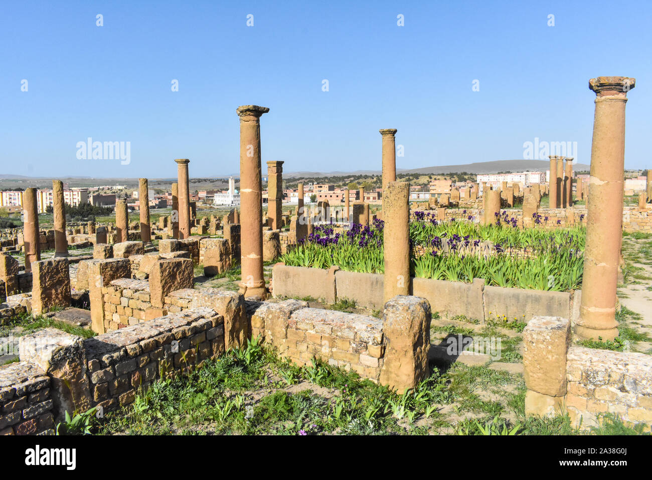 The Ancient Roman City of Timgad in Batna, Algeria, Built around 100 AC ...