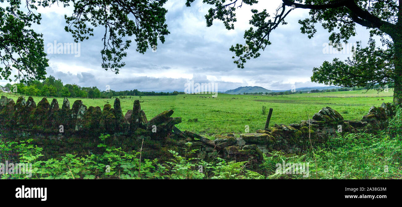 Rural landscape, Rob Roy Way, Scotland, United Kingdom Stock Photo - Alamy