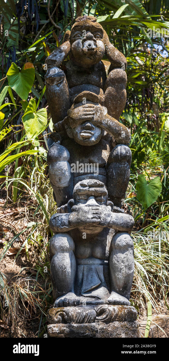 Indonesian monkeys hi-res stock photography and images - Alamy