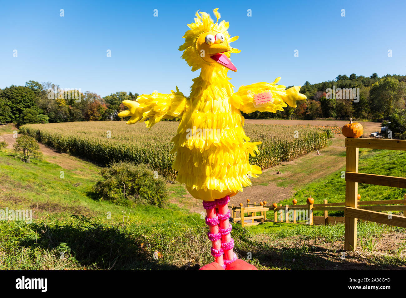 Sesame Street's Big Bird at the 4th Annual Scarecrow Contest at ...