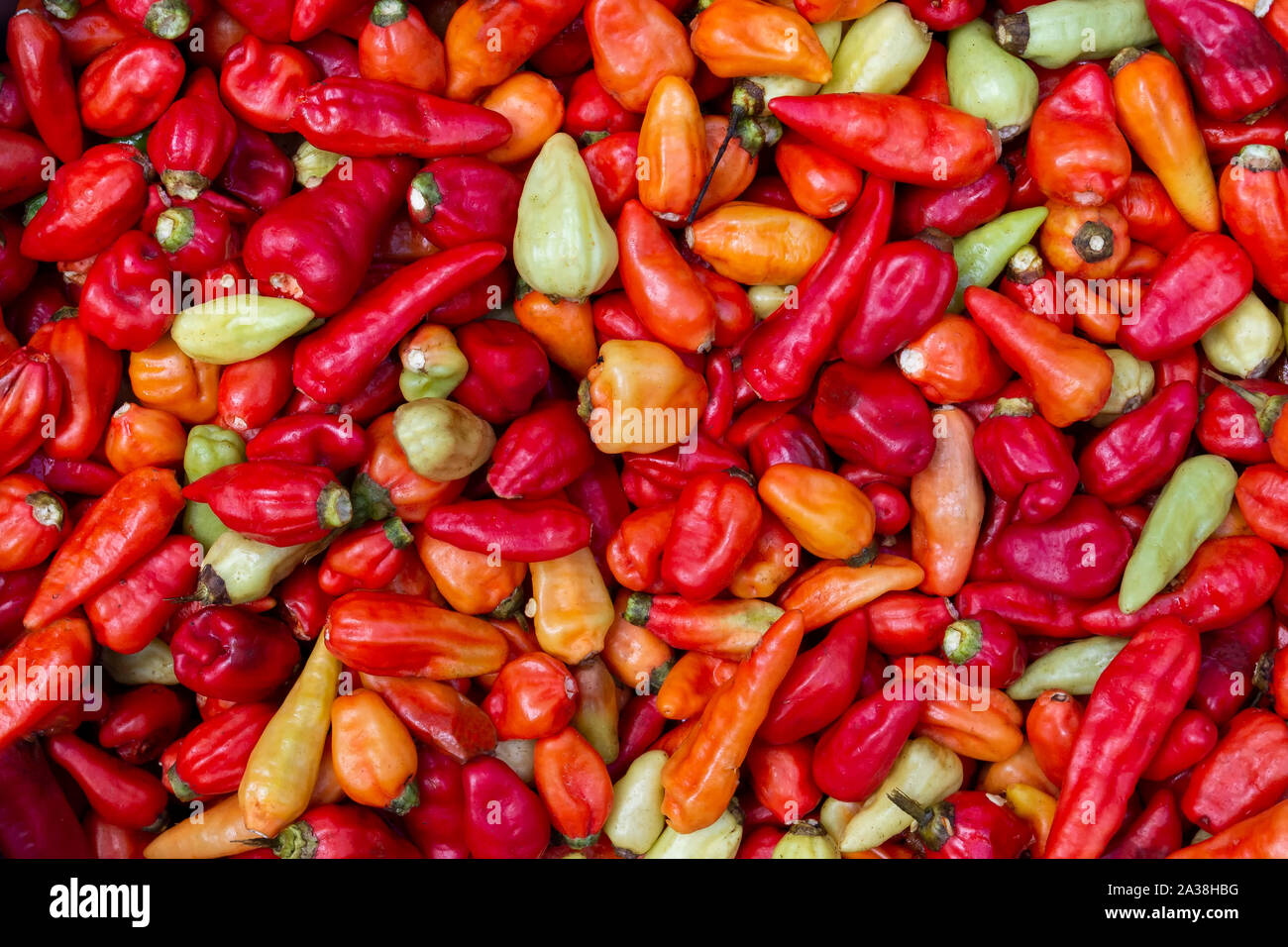 Chilli yellow hi-res stock photography and images - Alamy
