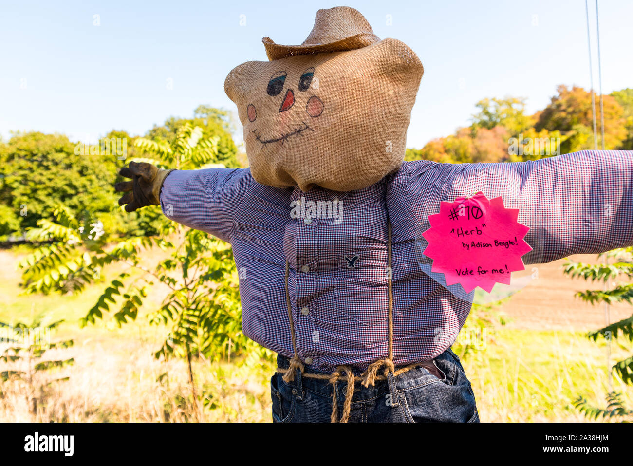 American Scarecrow High Resolution Stock Photography and Images - Alamy