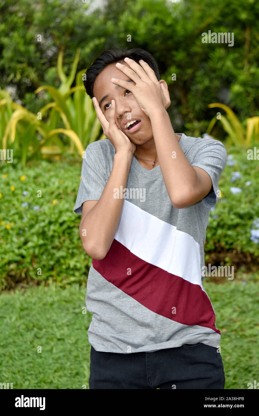 An Anxious Handsome Teenager Boy Stock Photo - Alamy