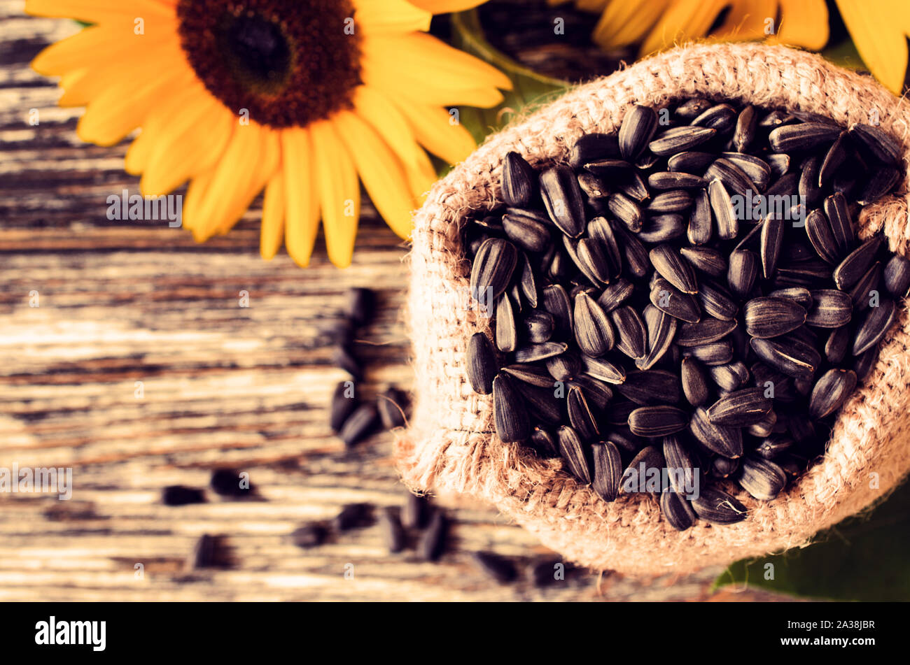Raw sunflower seeds in burlap bag on a wooden table against the ...