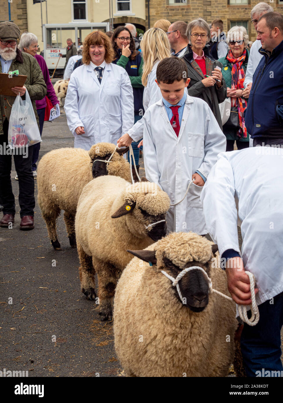 Entrants Masham Sheep Fair High Resolution Stock Photography and Images ...