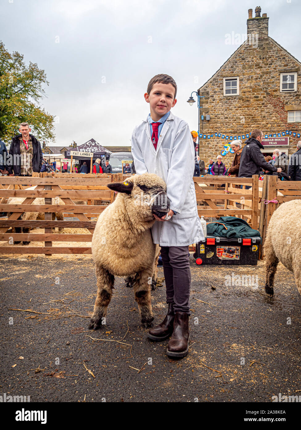 Boy standing with sheep hi-res stock photography and images - Alamy