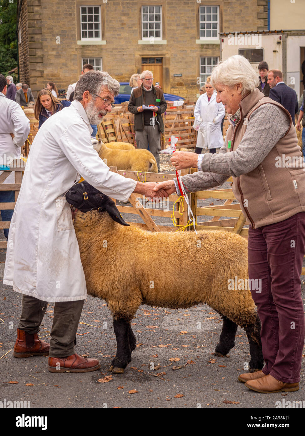 Prize winning sheep hi-res stock photography and images - Alamy