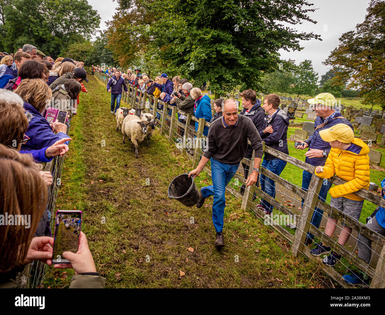 Sheep racing at Masham Sheep Fair Stock Photo - Alamy