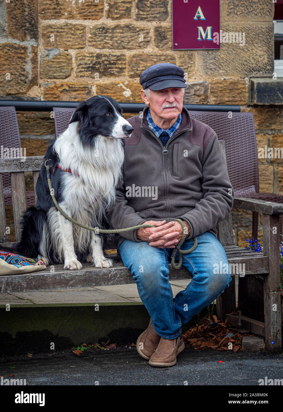 Old english sheepdog sheep hi-res stock photography and images - Alamy