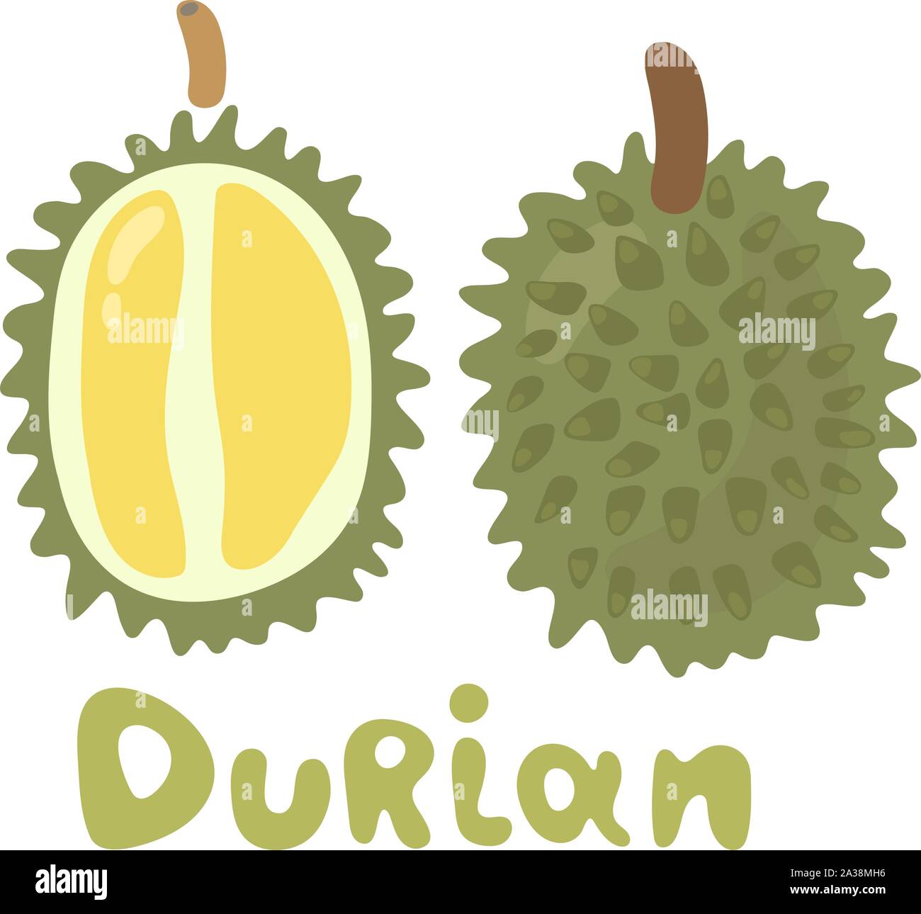 Whole and half of durian icon. Isolated object. Durian logo. Healthy ...