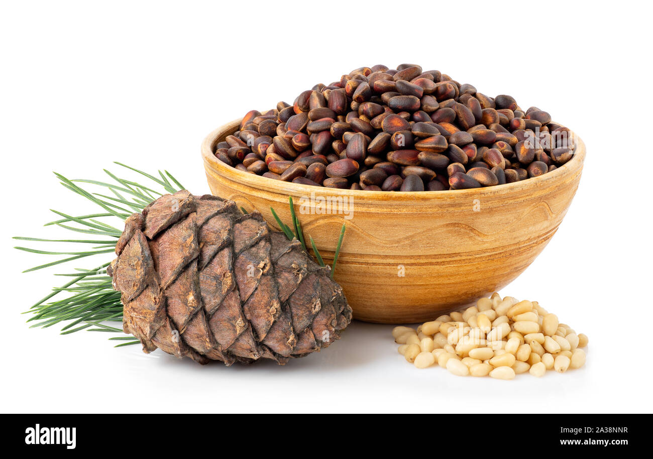 Siberian cedar pine Cut Out Stock Images & Pictures - Alamy