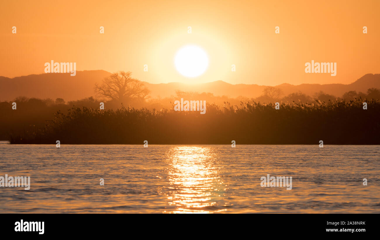 Baobab in the sunset hi-res stock photography and images - Alamy