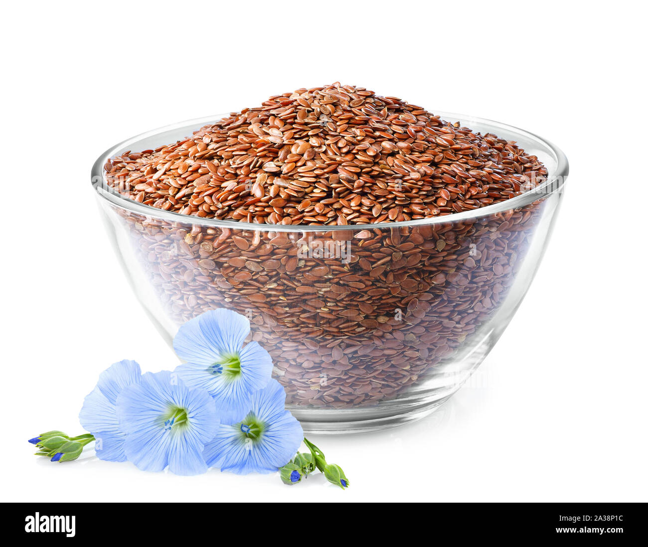 Flaxseed flower hi-res stock photography and images - Alamy