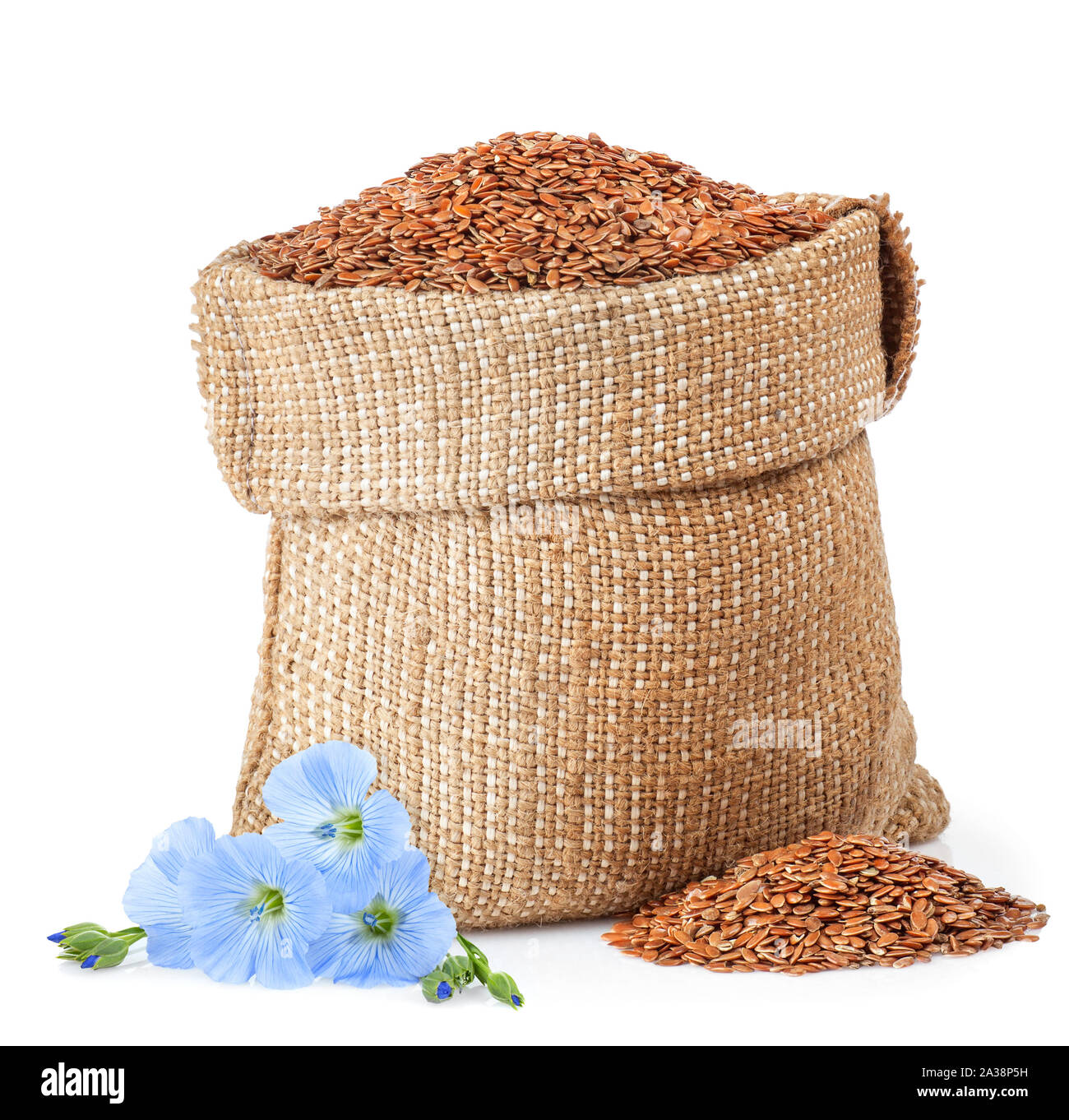 Flowers flax plant in Cut Out Stock Images & Pictures - Alamy