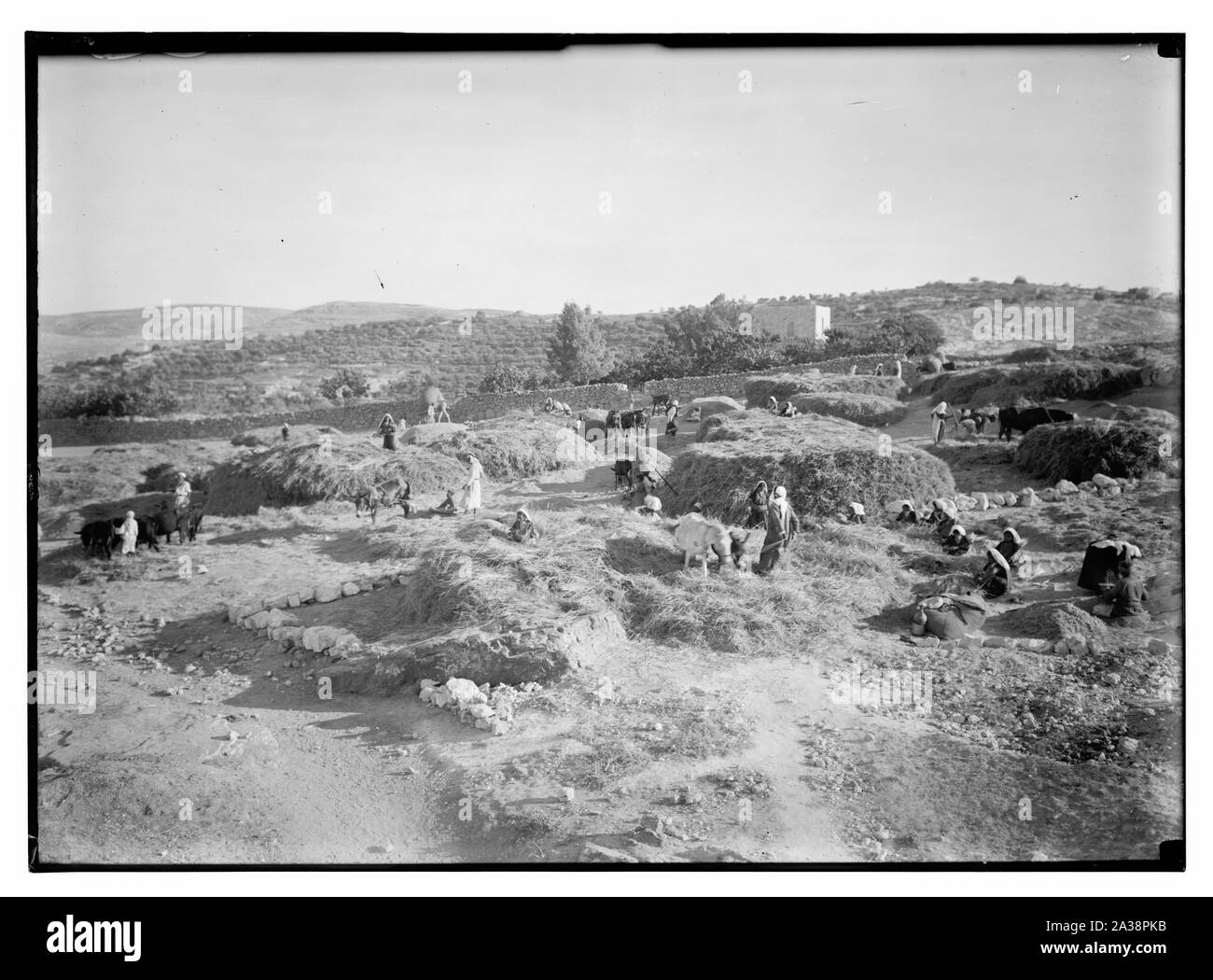 Ruth series. Threshing floor, winnowing, etc Stock Photo - Alamy