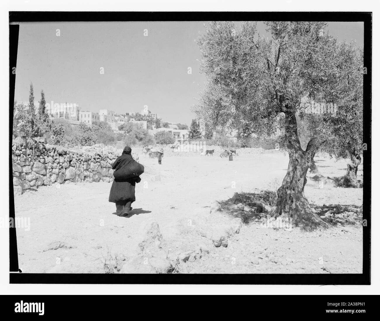 Ruth the Moabitess (and others Stock Photo - Alamy