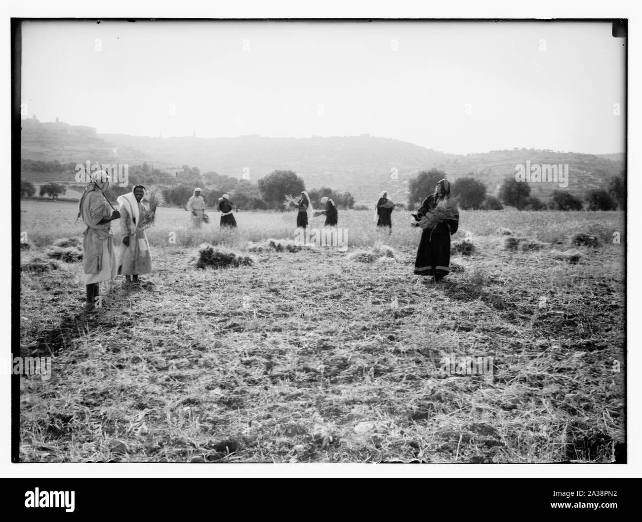 Ruth series, Ruth the Moabitess Stock Photo - Alamy