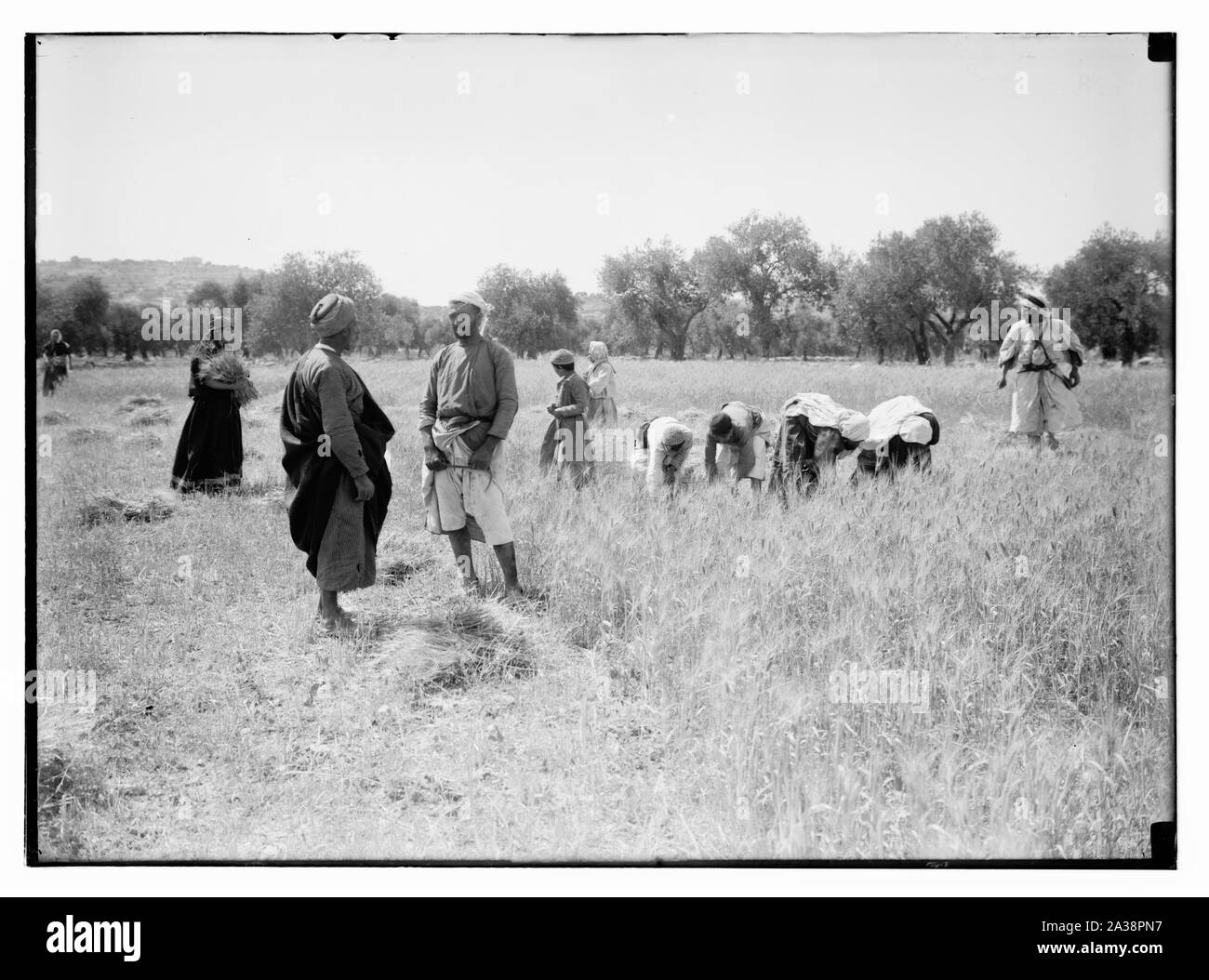 Ruth series, Ruth the Moabitess Stock Photo - Alamy