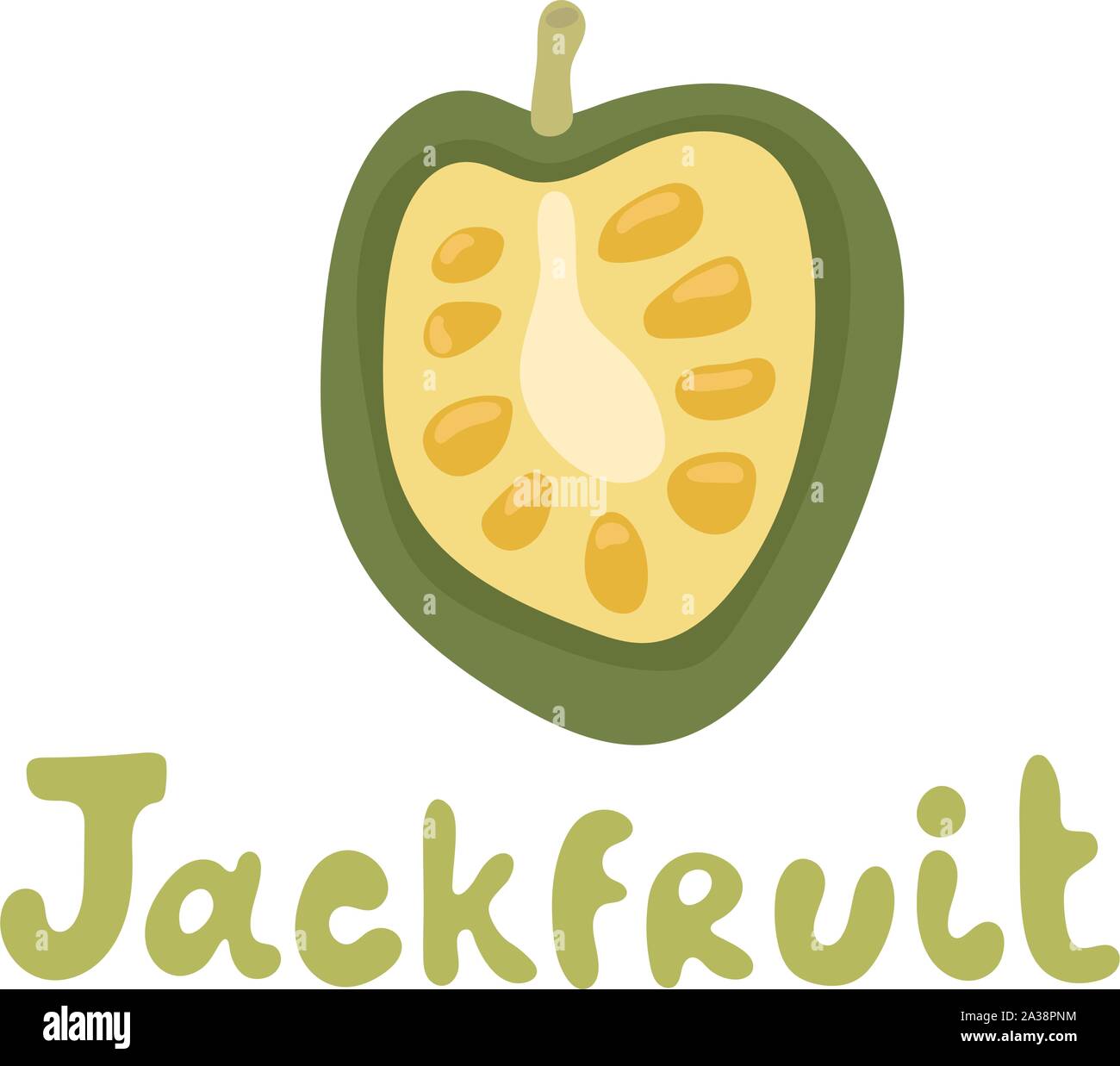 Jackfruit vector illustration. Vector illustration cartoon flat icon ...